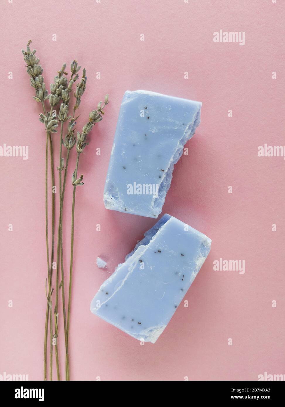 Homemade lavender soap bar and lavender flowers on pastel pink ...