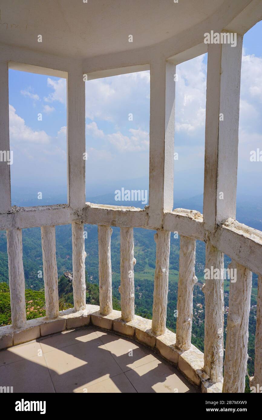 Bio diversity hi-res stock photography and images - Alamy