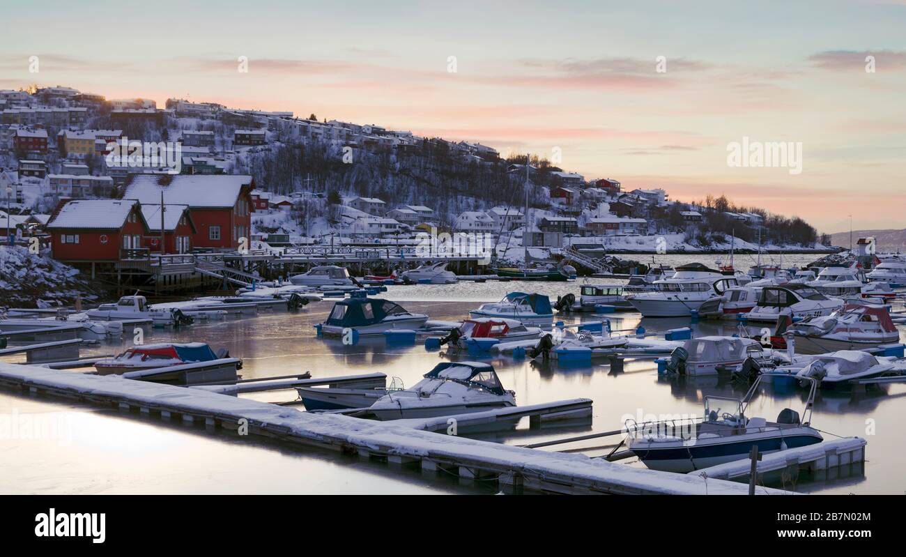 Polar park narvik hi-res stock photography and images - Alamy