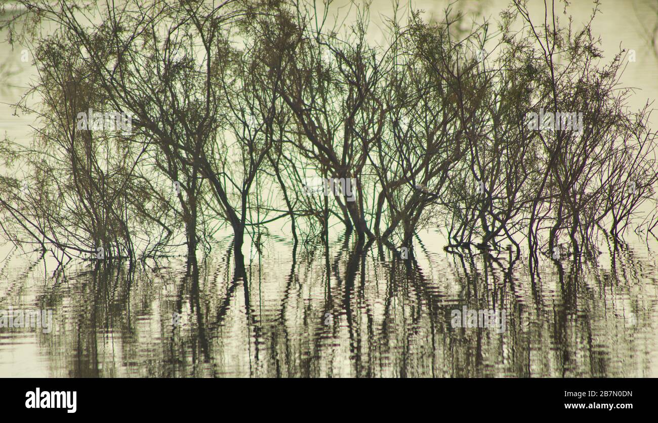 Nature beauty of desert of Jeddah, Saudi Arabia named as Green Valley ...