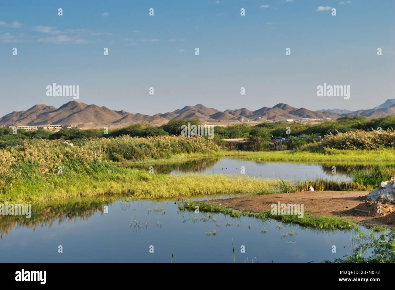 Nature beauty of desert of Jeddah, Saudi Arabia named as Green Valley ...