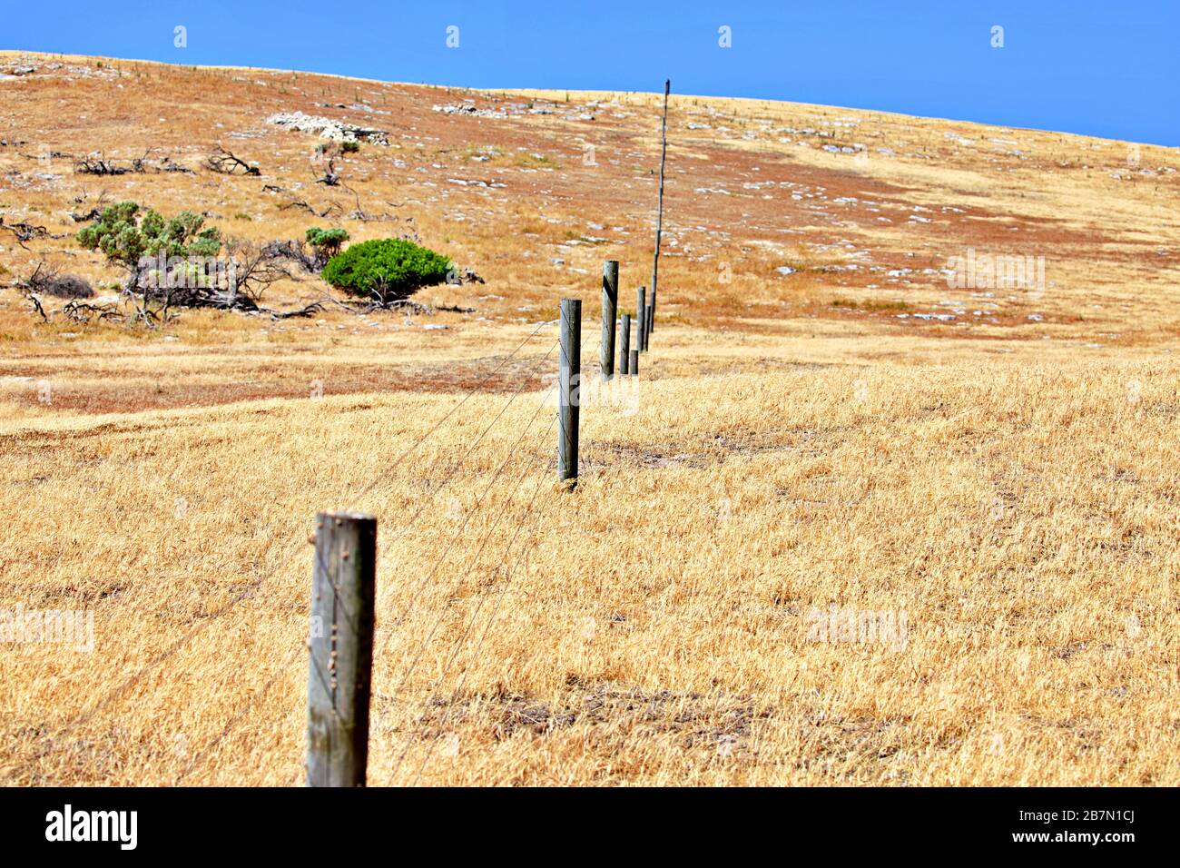 Open field on Kangaroo Island Australia Stock Photo - Alamy