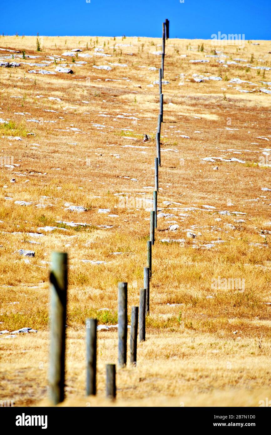 Open field on Kangaroo Island Australia Stock Photo - Alamy