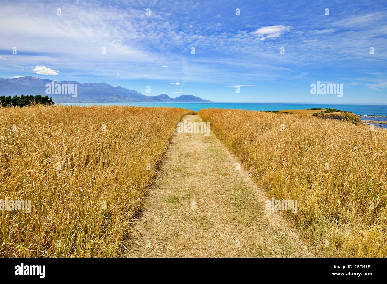 Open field on Kangaroo Island Australia Stock Photo - Alamy