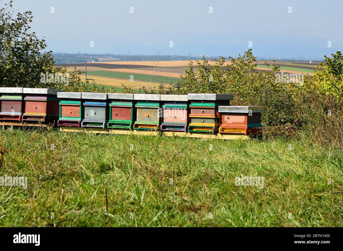 Austria, beehives in meadow Stock Photo - Alamy