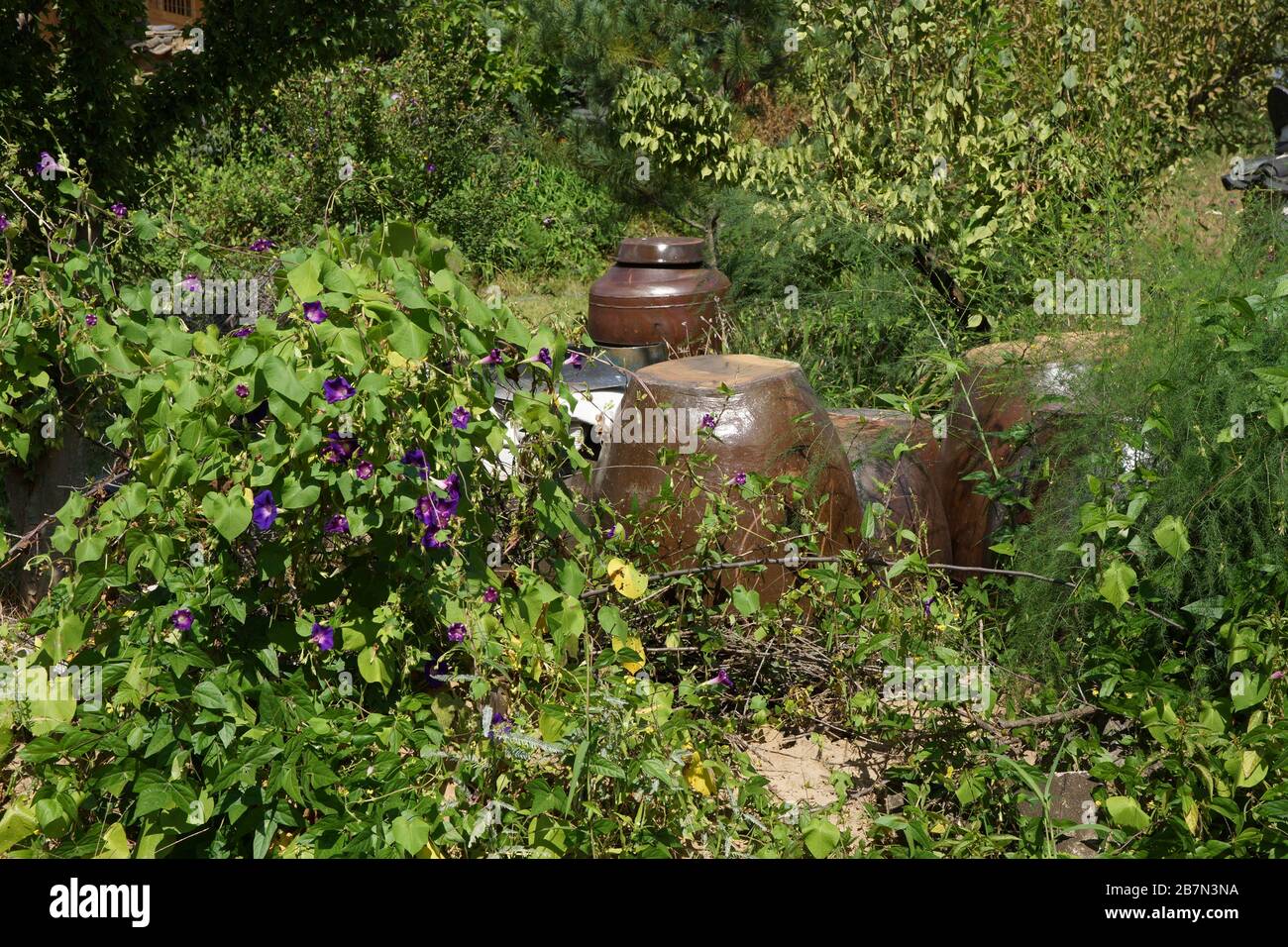 Korean clay pots hi-res stock photography and images - Alamy