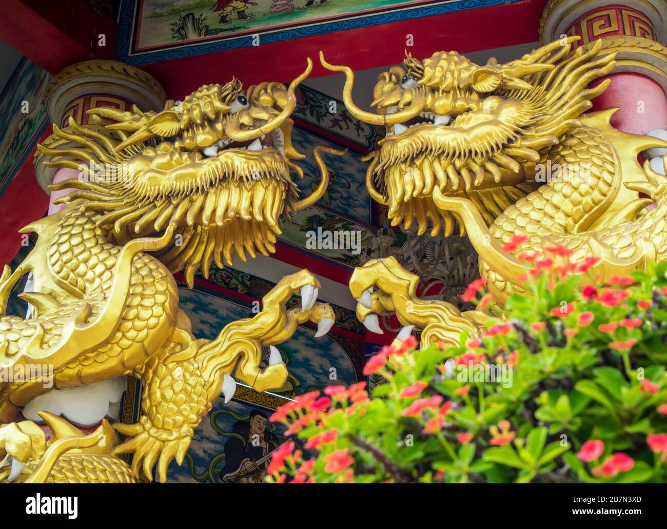 Gold dragon and Crown of Thorns, Sacred plant and heaven animal ...