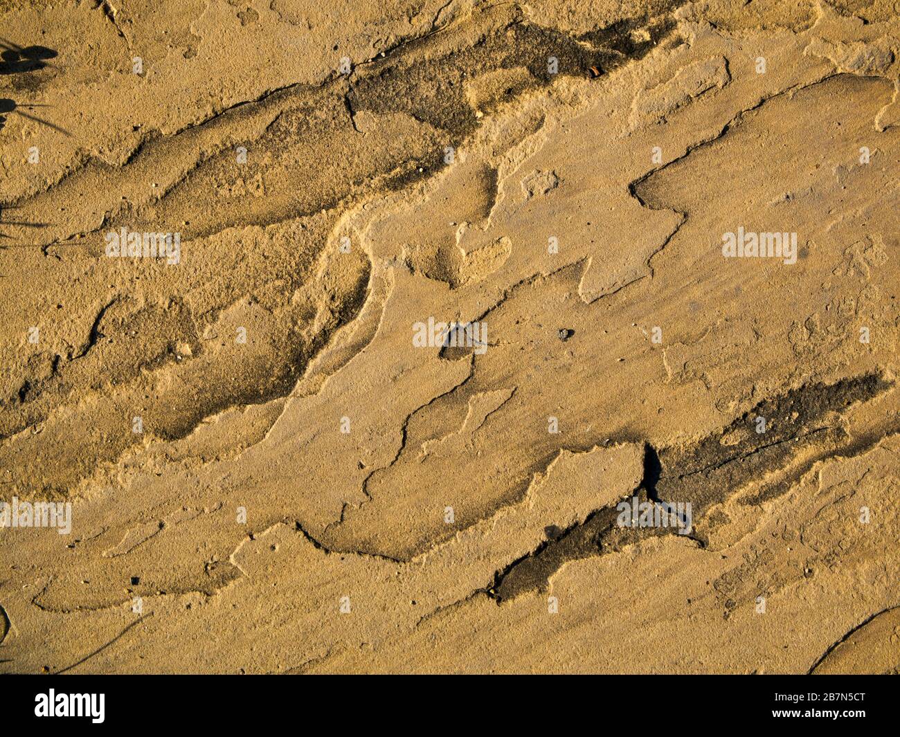 Sand Stone slabs walk way in Garden Stock Photo - Alamy