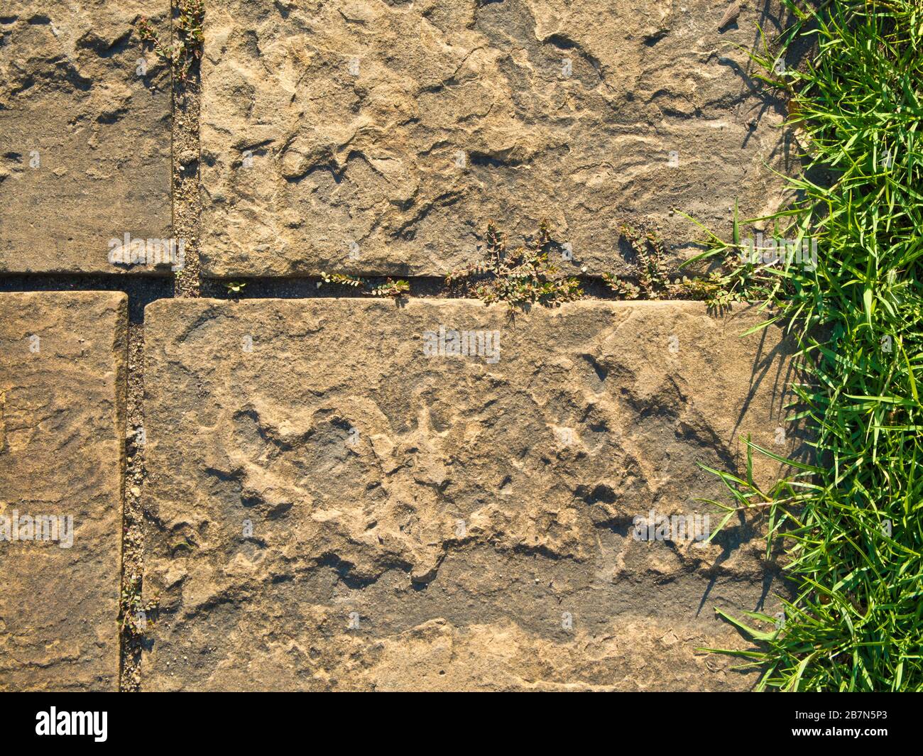 Sand Stone slabs walk way in Garden Stock Photo - Alamy
