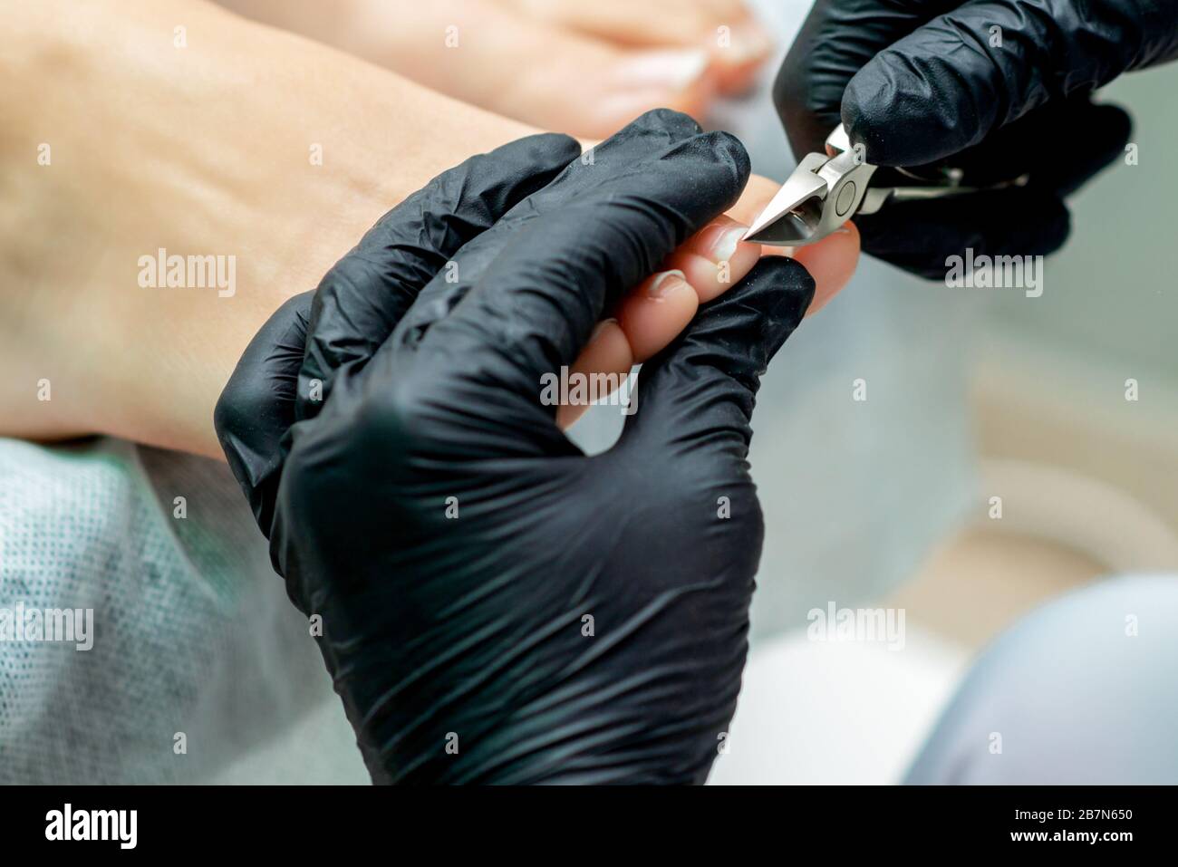 Pedicure master cuts foot nails of woman during pedicure procedure ...