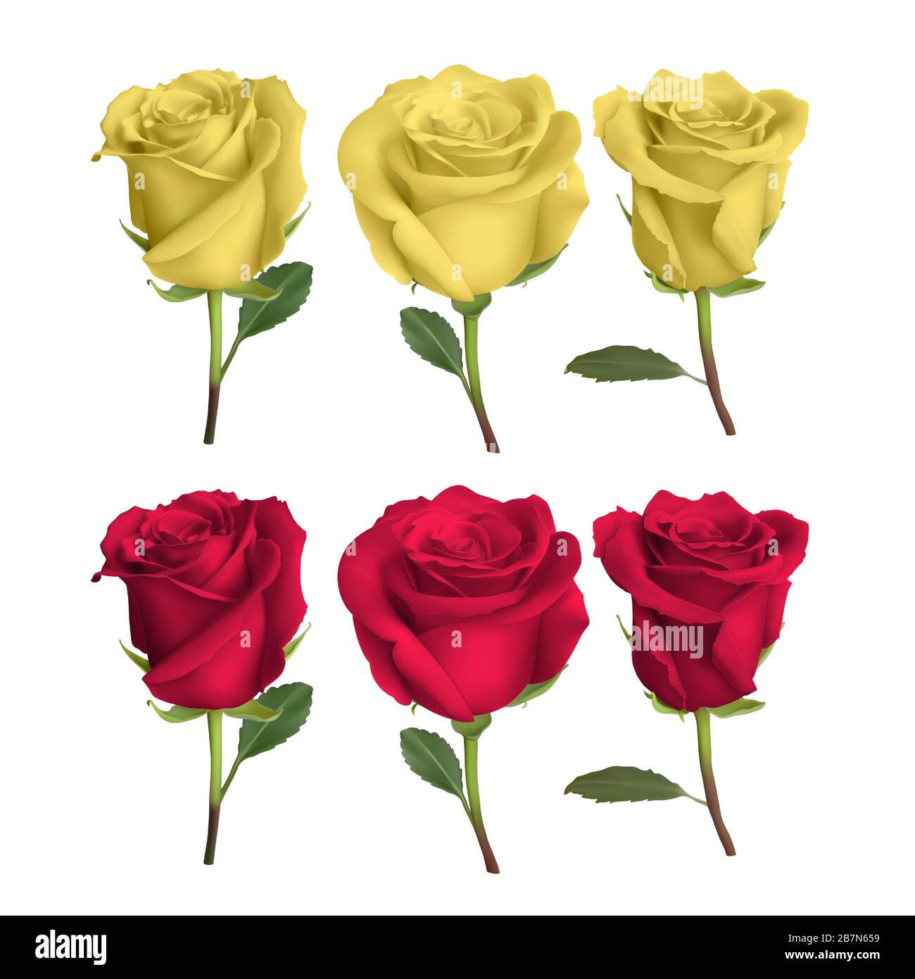 realistic rose design isolated on background, vector illustration Stock ...
