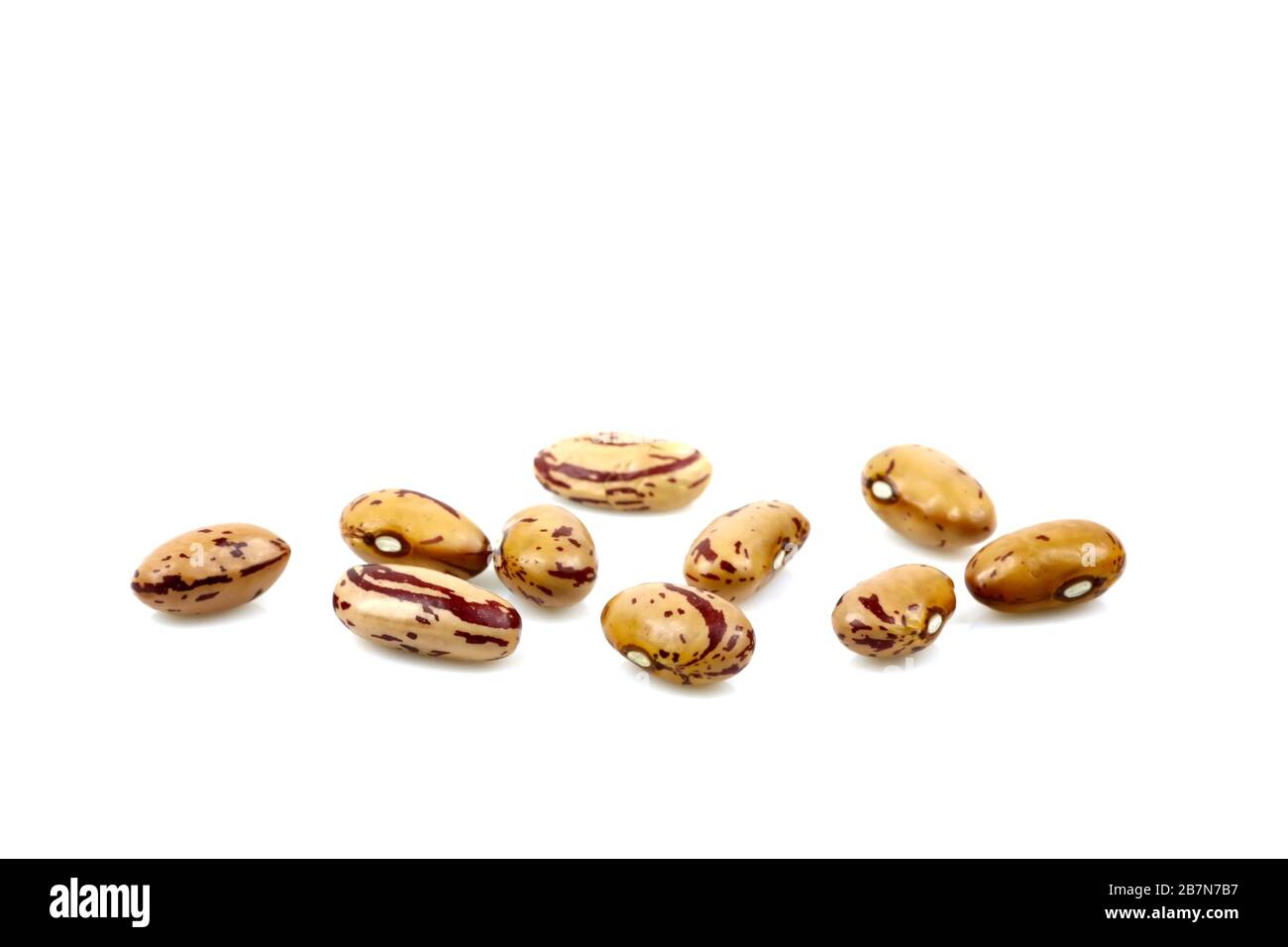 closeup of beans in white background Stock Photo - Alamy