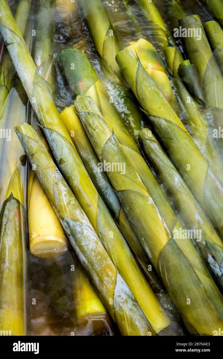 Texture of bamboo shoot boiling in hot water, vegetable background ...