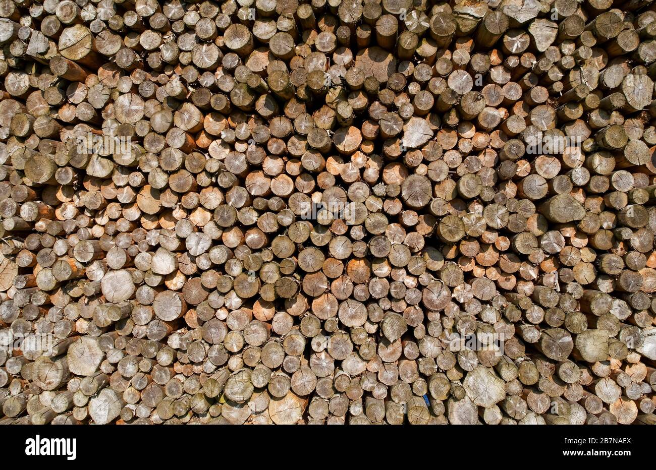 Wood industry, Stacked logs, Austria Stock Photo - Alamy
