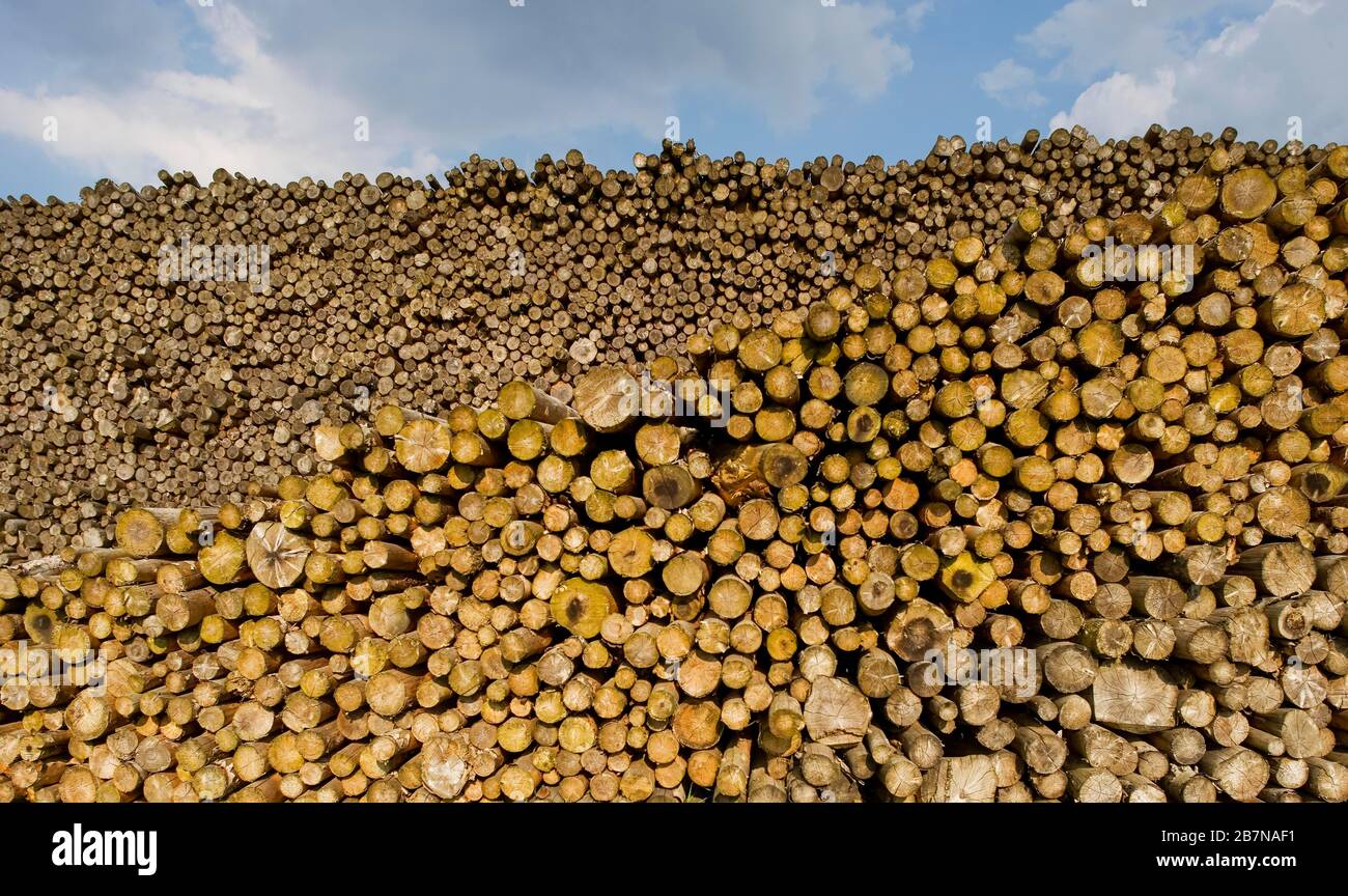 Timber industry austria hi-res stock photography and images - Alamy