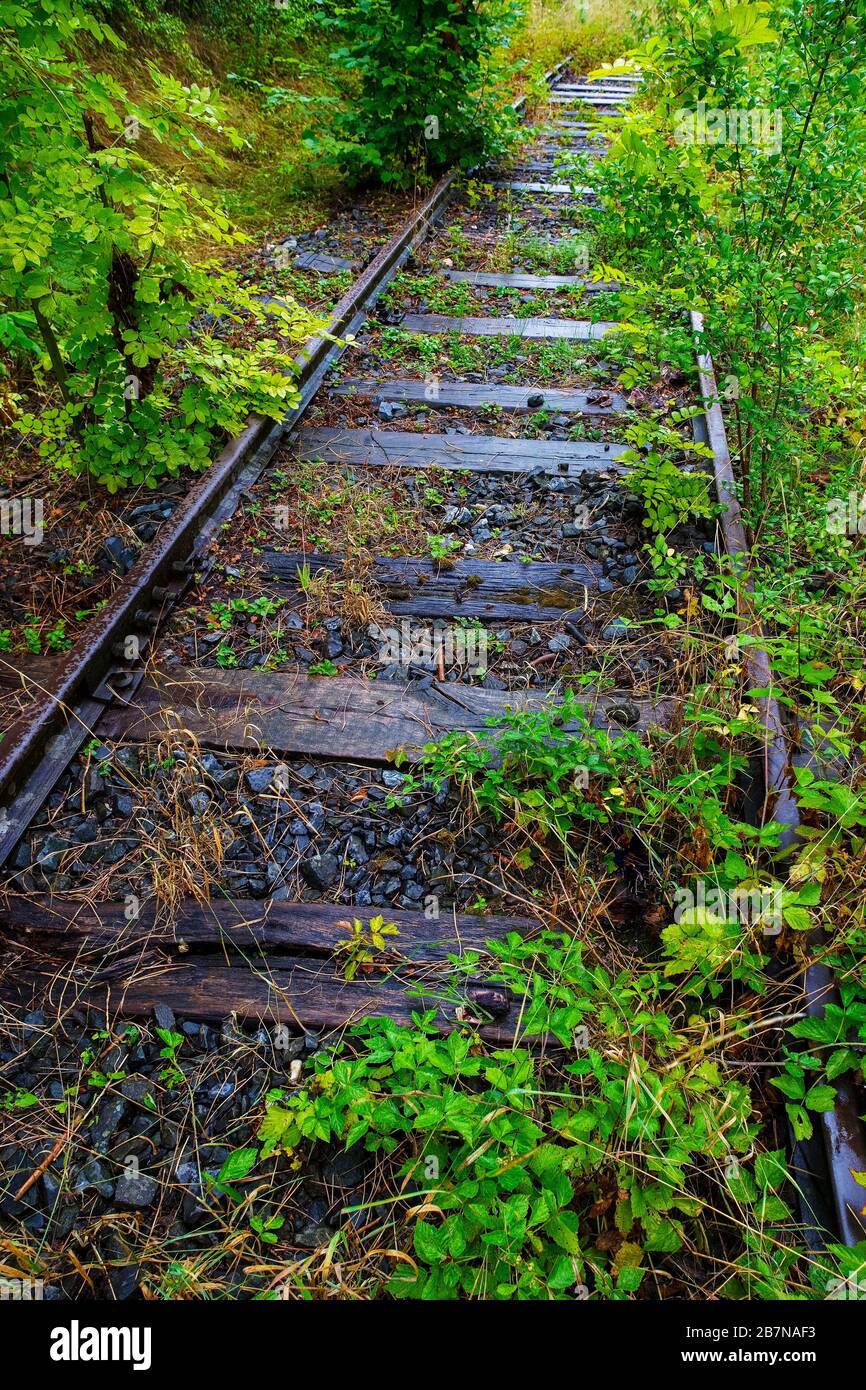 Vegetation grows over disused railway tracks, Styria, Austria Stock ...