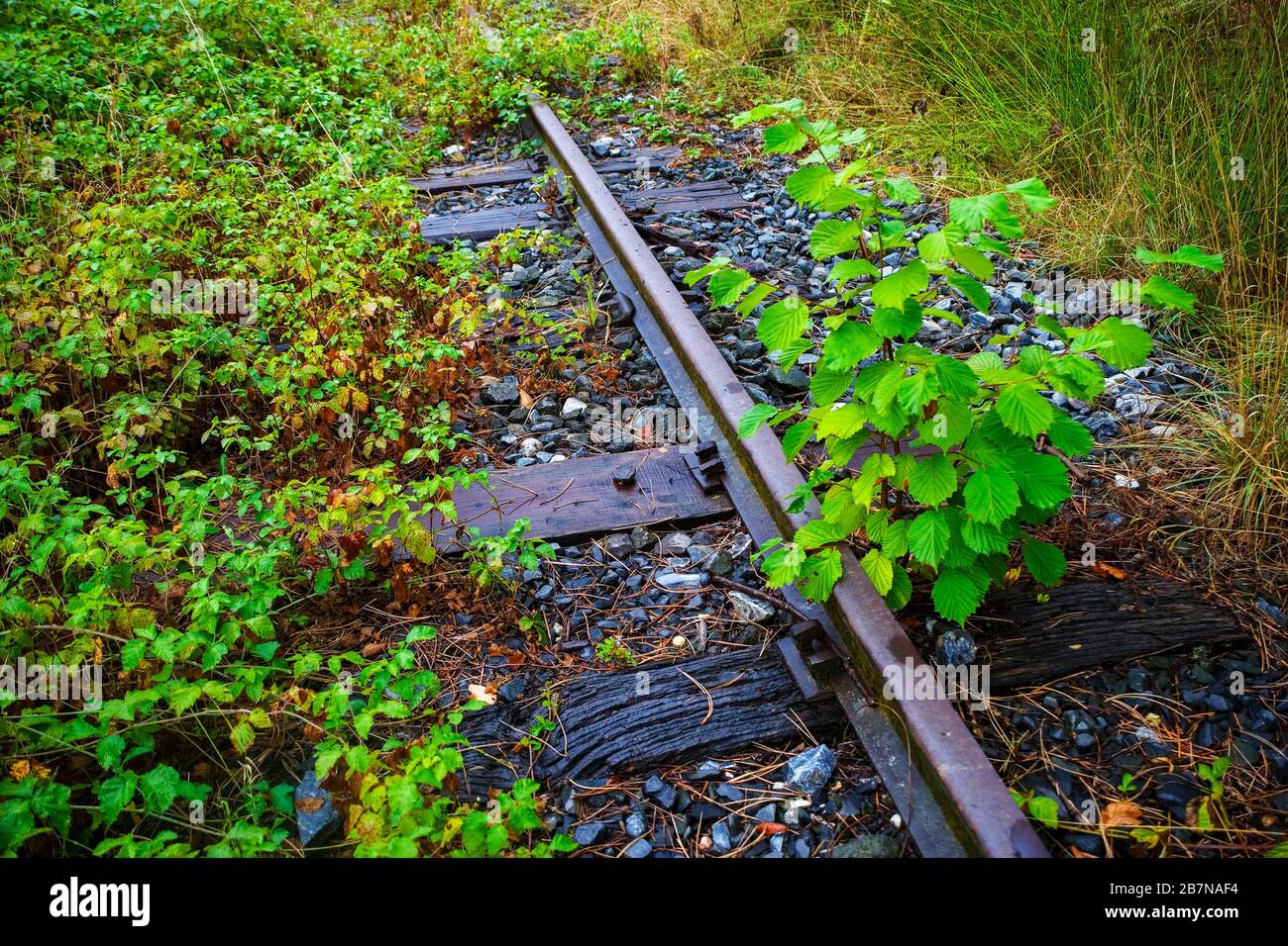 Vegetation grows over disused railway tracks, Styria, Austria Stock ...