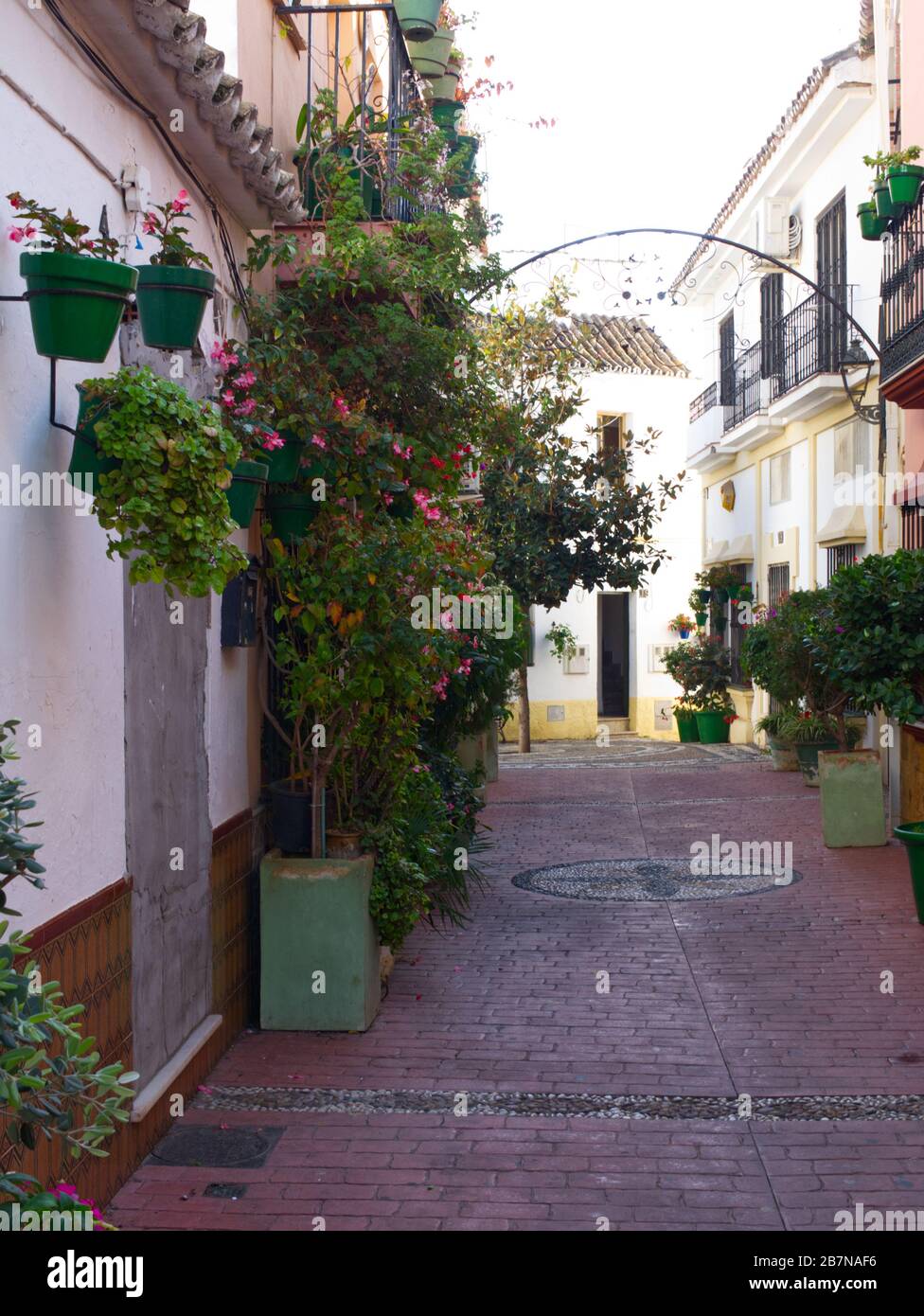 Breathtaking Estepona, Spain. The City of Flowers. Each cobbled street ...