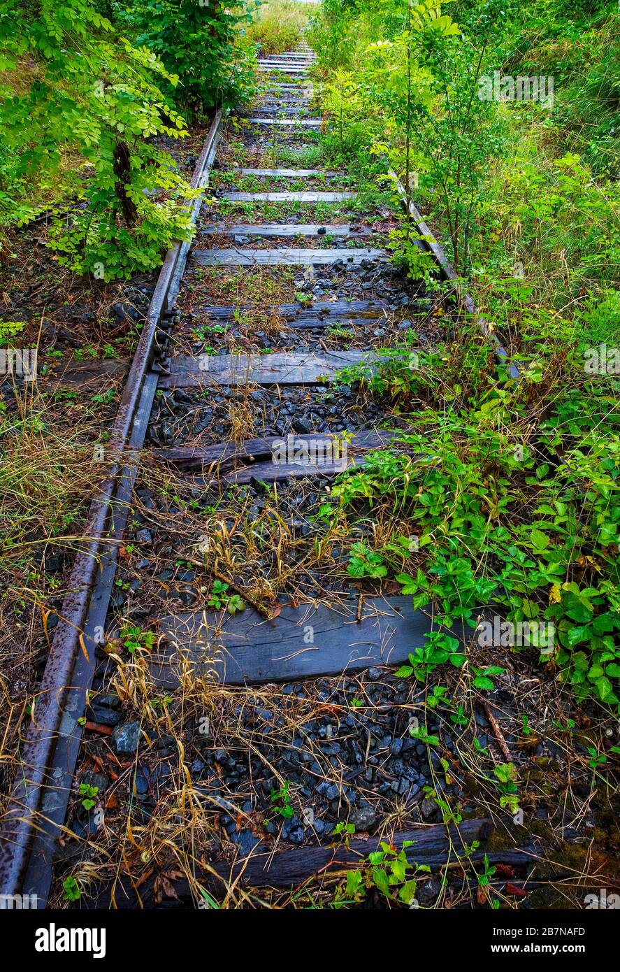 Vegetation grows over disused railway tracks hi-res stock photography ...