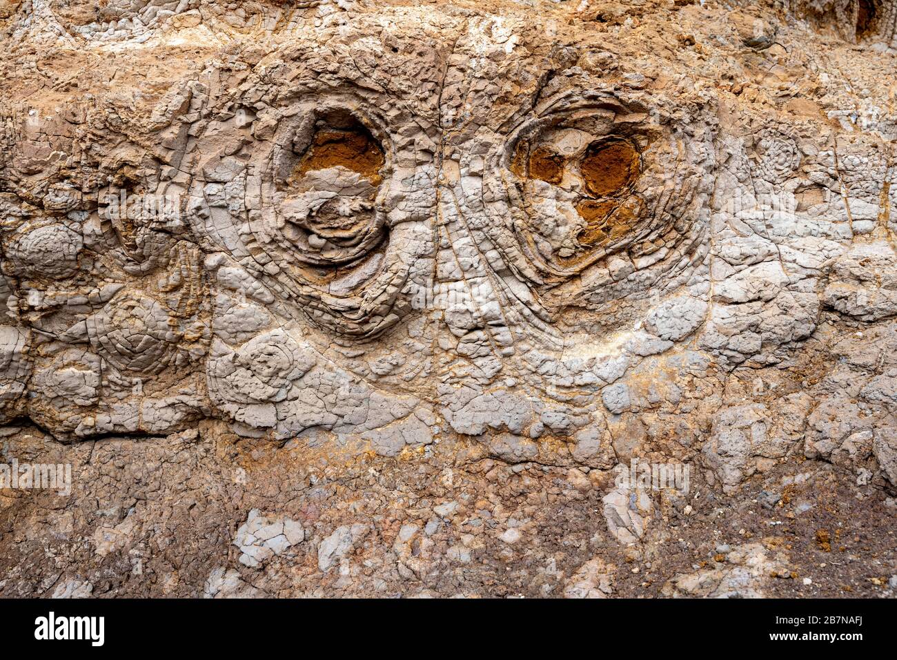 Eroded volcanic rock with interesting pattern, La Gomera, Canary ...