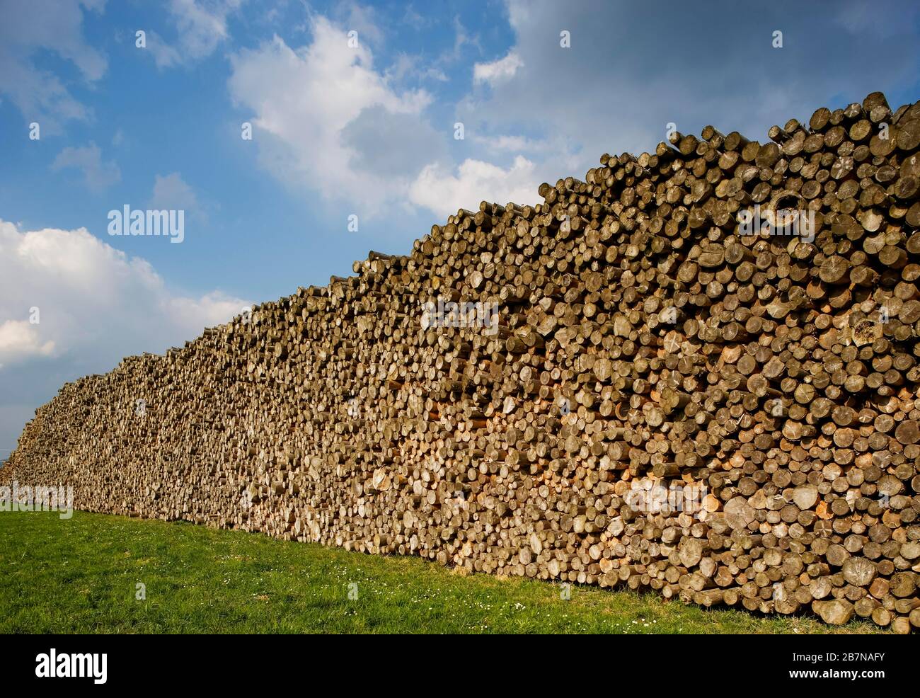 Timber industry austria hi-res stock photography and images - Alamy