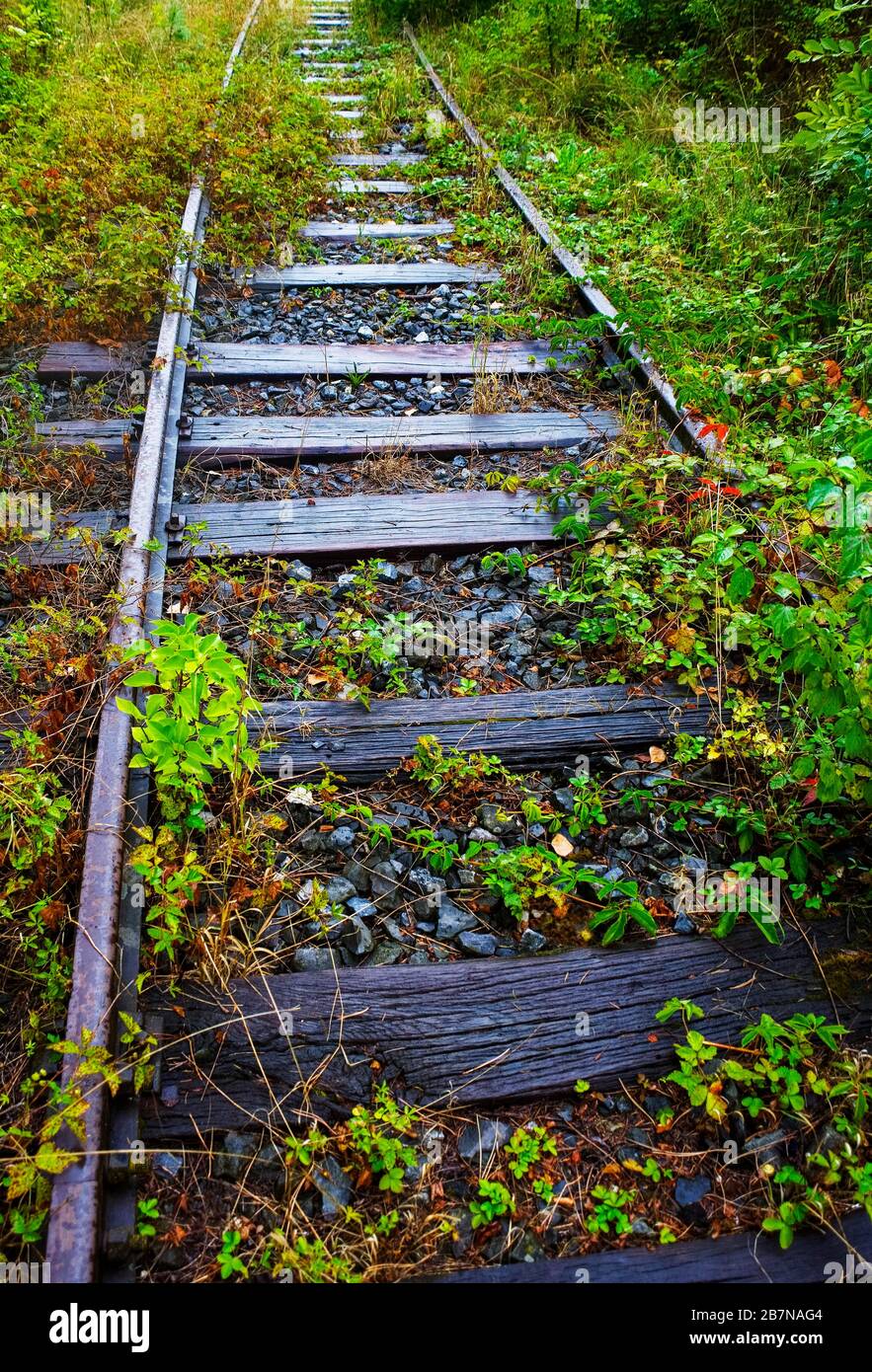 Vegetation grows over disused railway tracks, Styria, Austria Stock ...