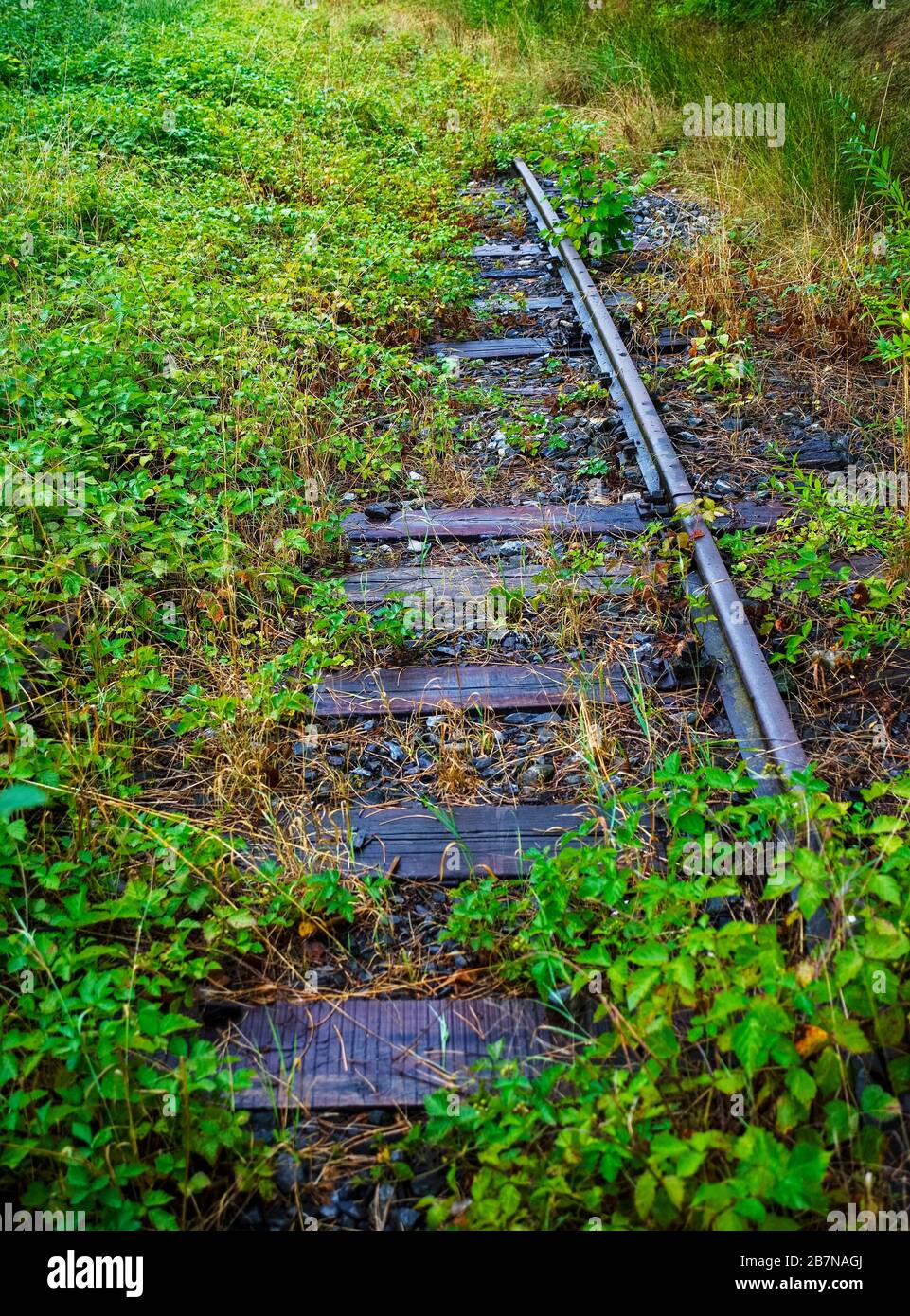 Vegetation grows over disused railway tracks, Styria, Austria Stock ...