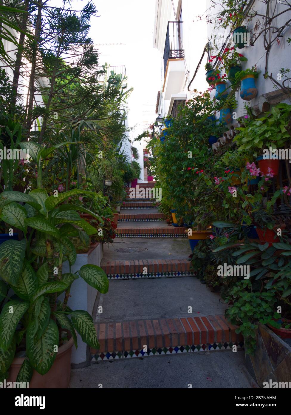 Breathtaking Estepona, Spain. The City of Flowers. Each cobbled street ...