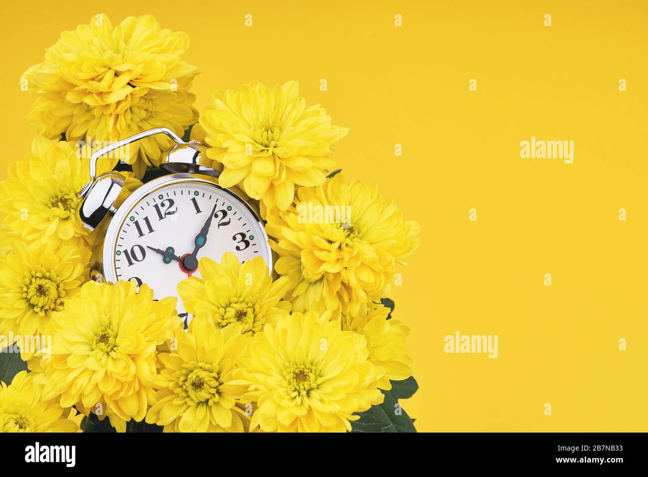 Spring watch hi-res stock photography and images - Alamy