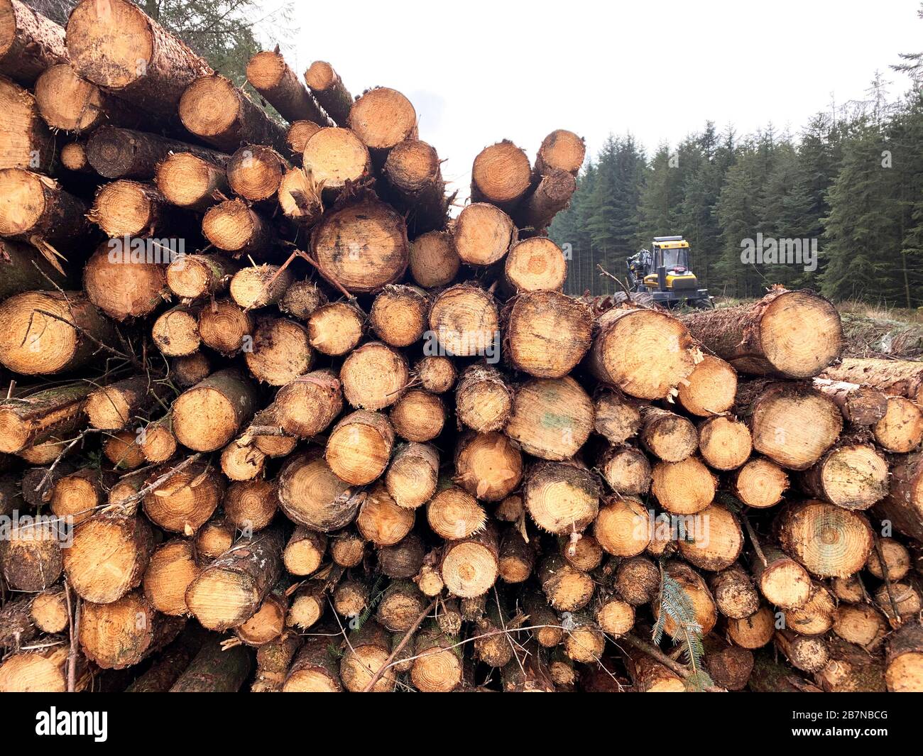 Climatye hi-res stock photography and images - Alamy