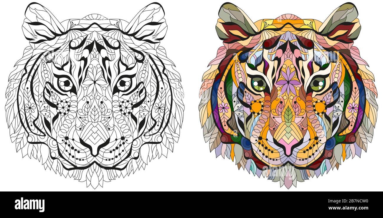 Zentangle tiger head. Hand drawn decorative vector illustration. Color ...