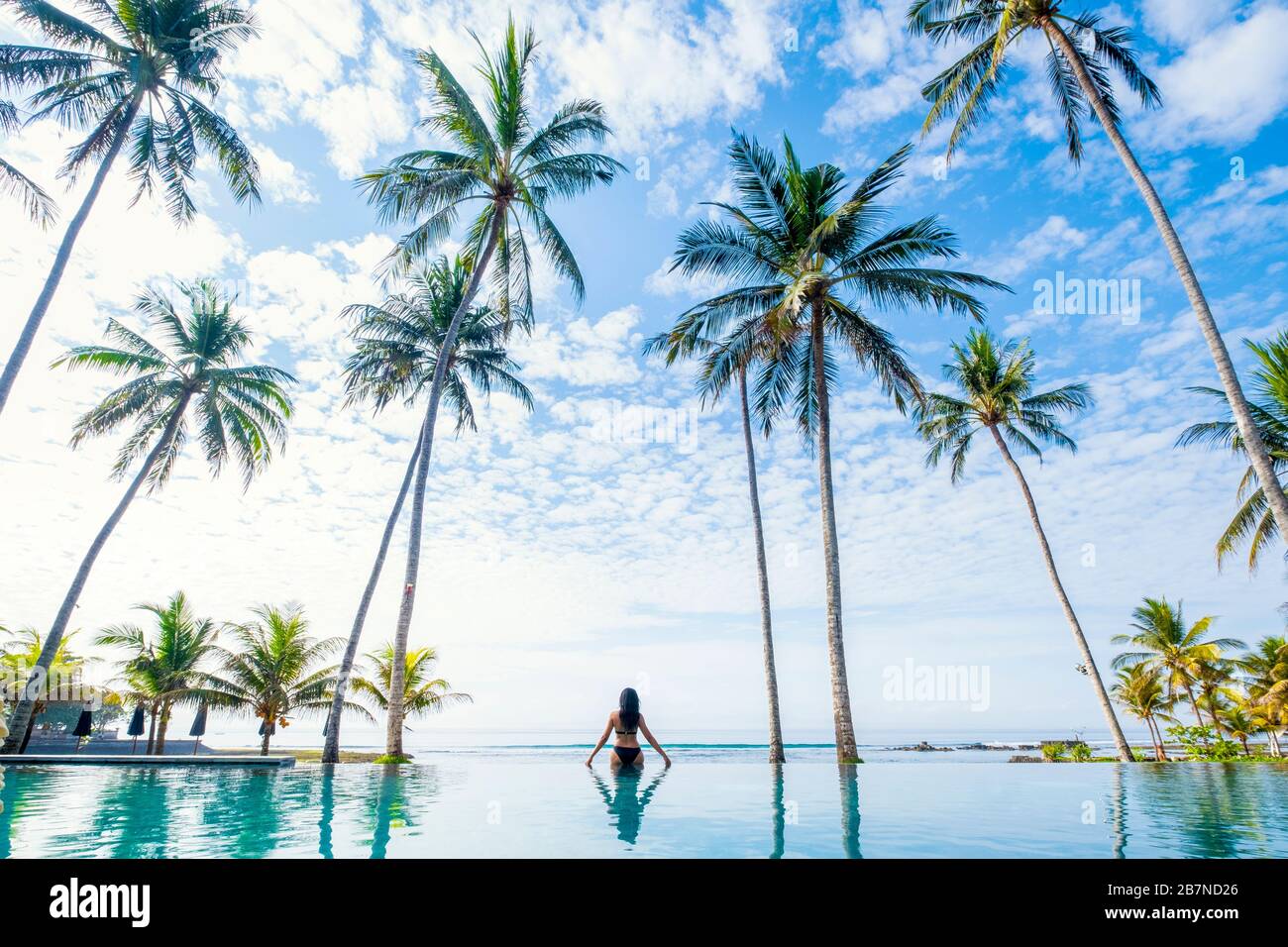 Luxurious palm palm swimming hi-res stock photography and images - Alamy