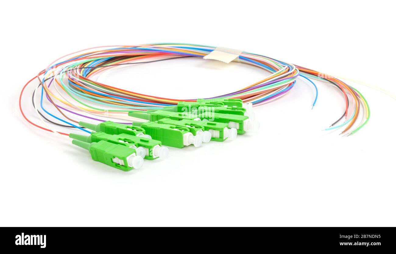 green fiber optic SC connectors fan out isolated on white background ...