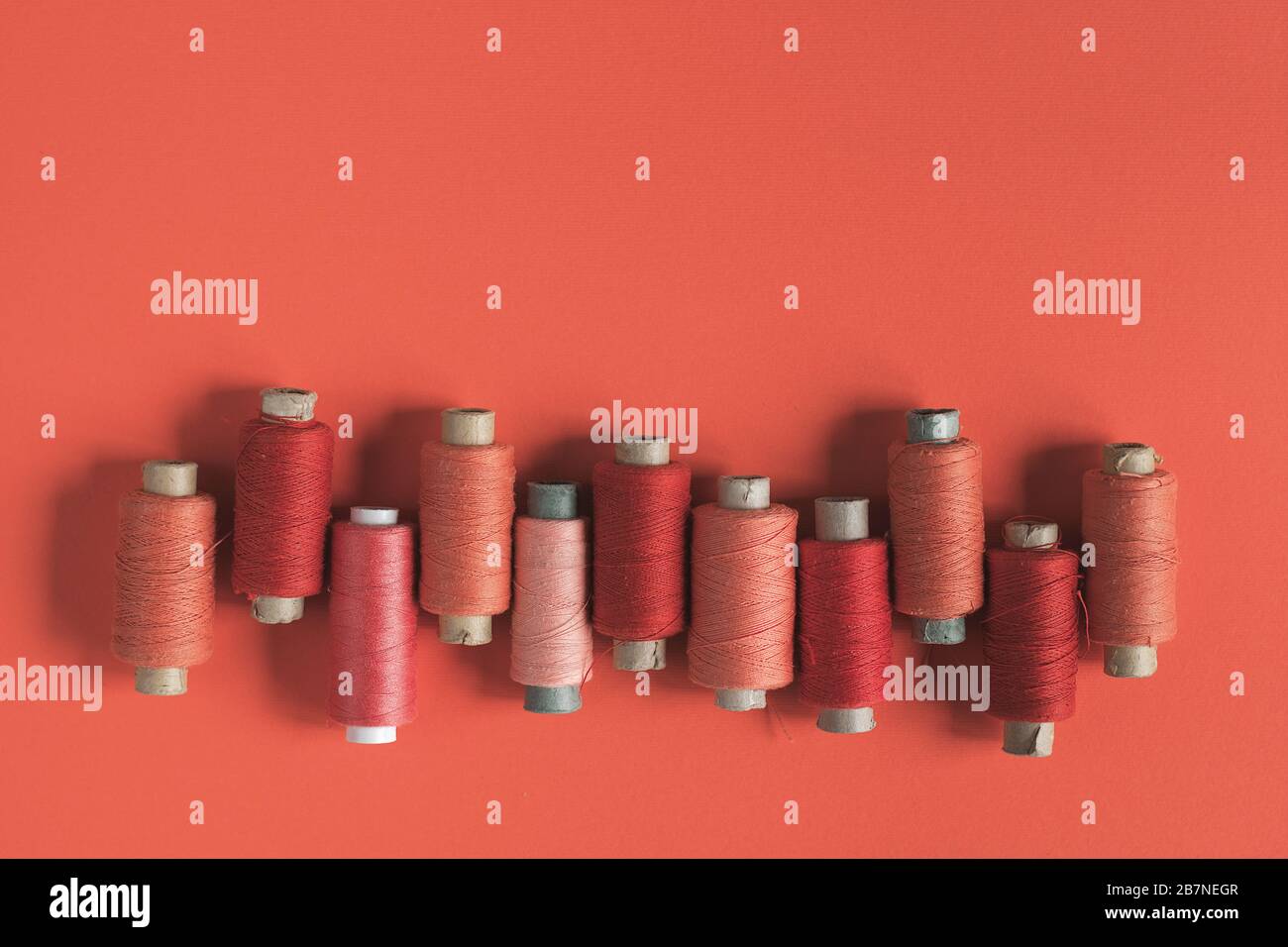 A coral spool of threads on coral paper background, with copy space ...