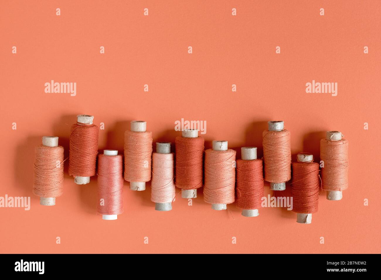 A coral spool of threads on coral paper background, with copy space ...