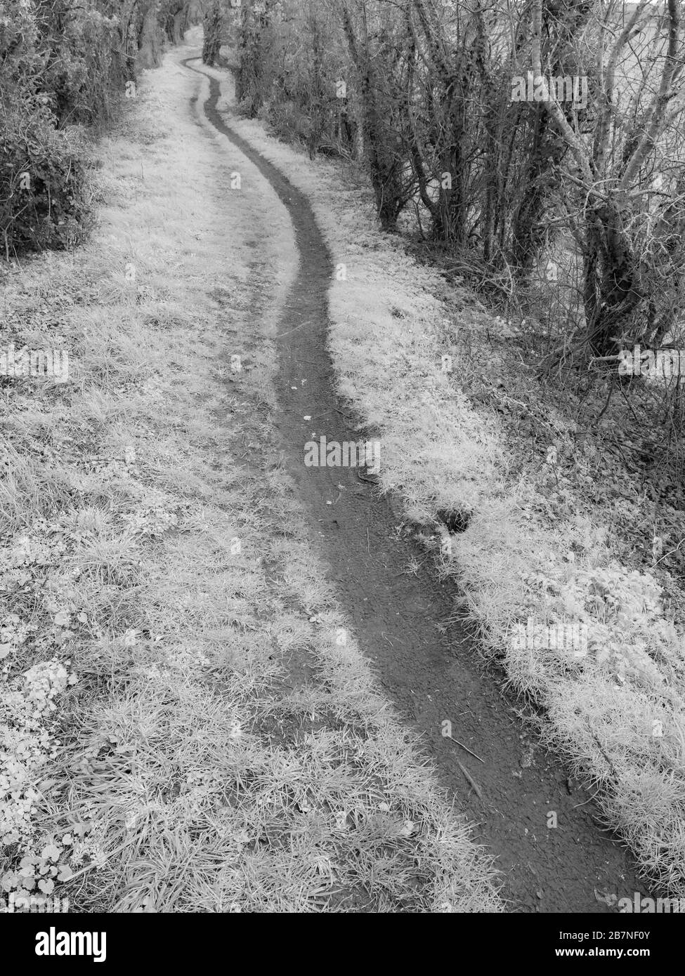Black and White Ancient Earthworks, Landscape, Grims Ditch, Nettlebed ...