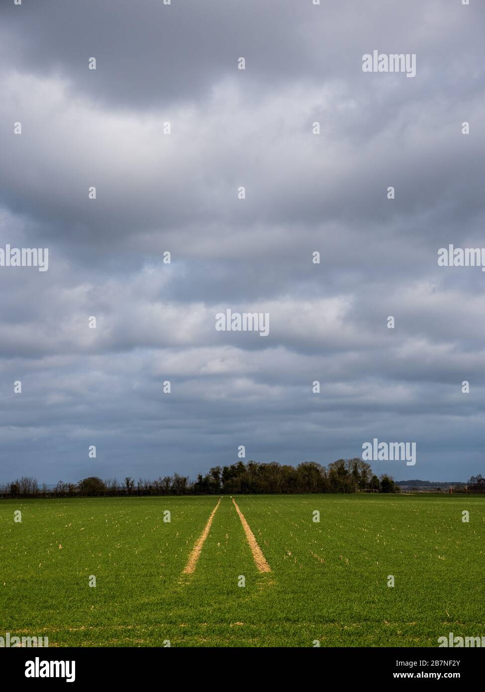Chiltern Hills, Chiltern Hills AONB, Chilterns, Landscape nr Nuffield ...