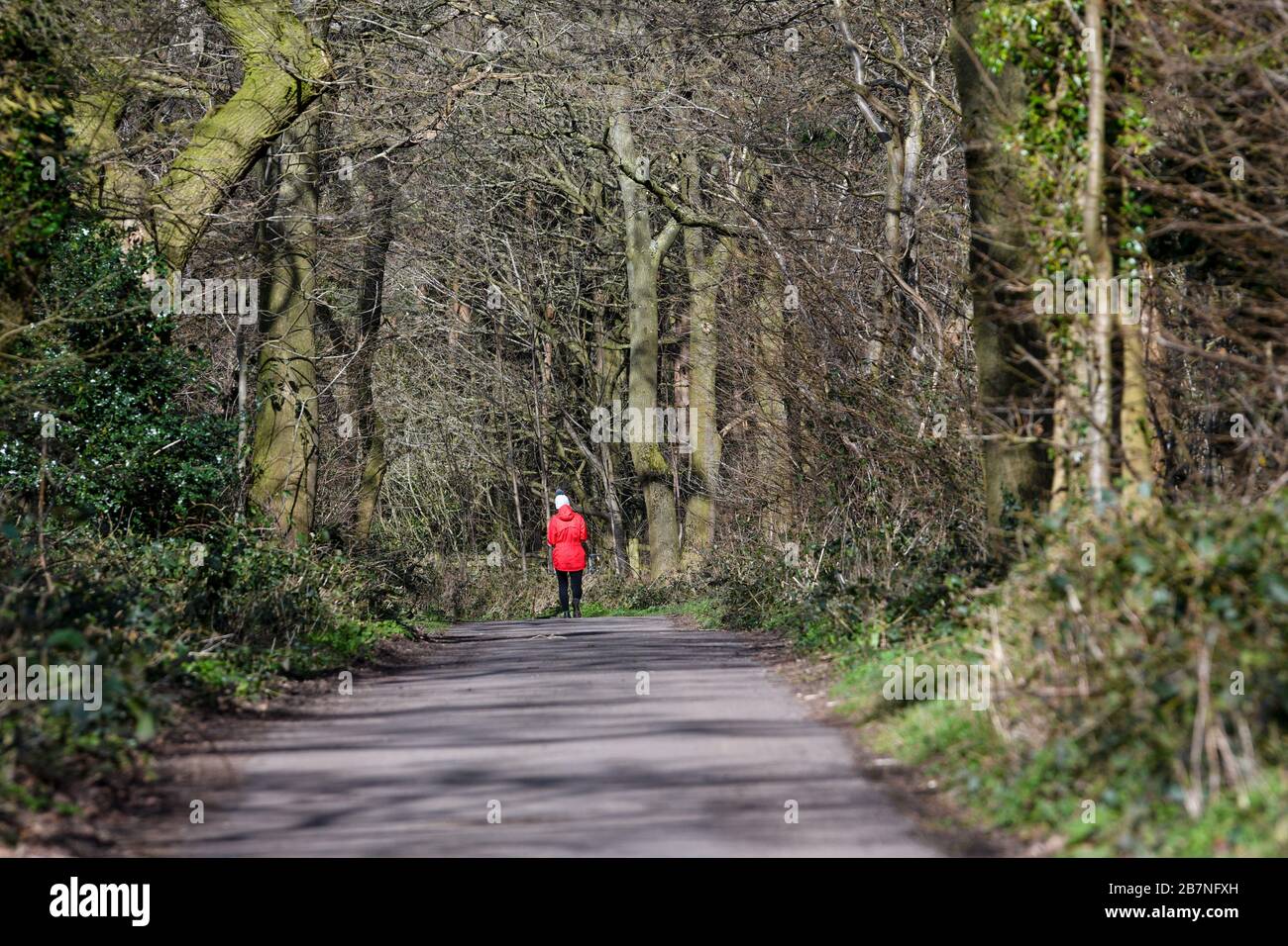 Woman walking along a forest path hi-res stock photography and images ...
