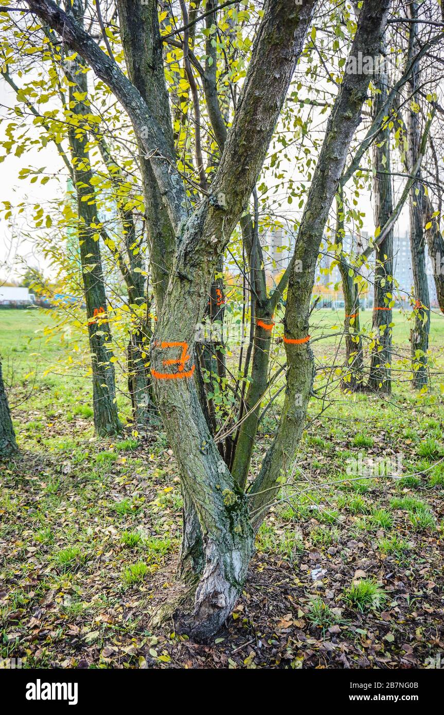 Numbered trees hi-res stock photography and images - Alamy
