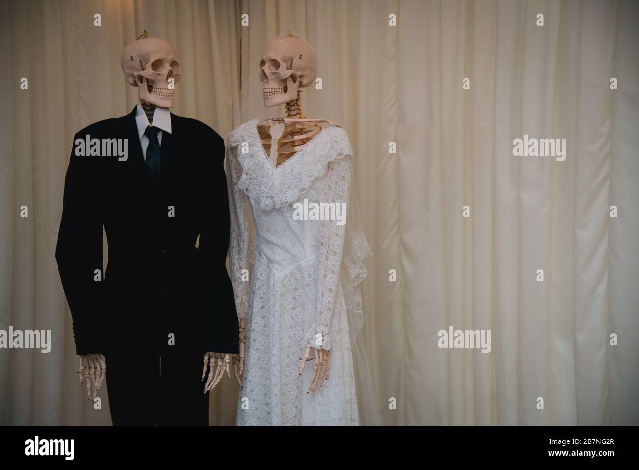 Skeletons in the bride groom wedding dress just married, concept ...