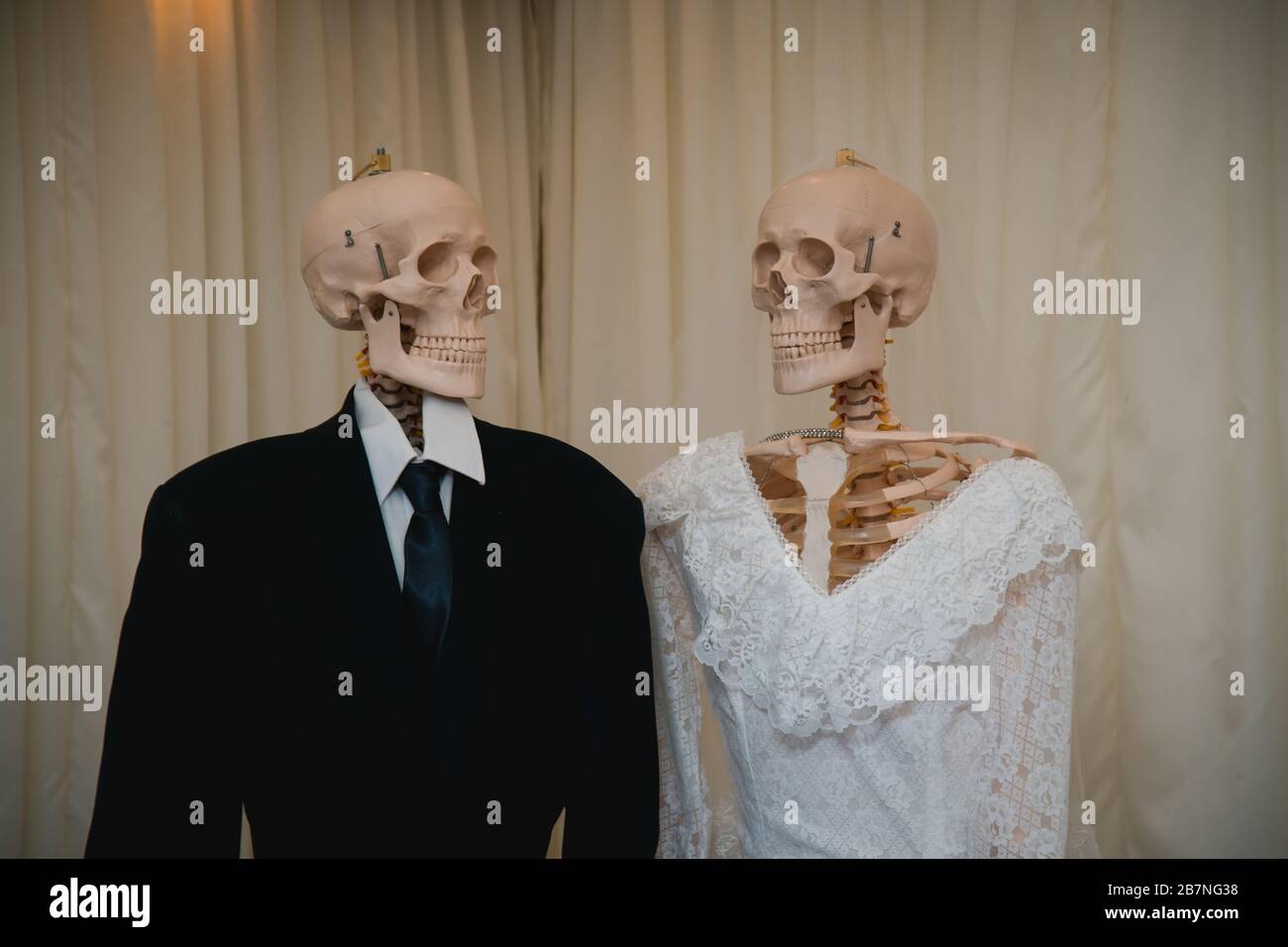 Skeleton Bride And Groom