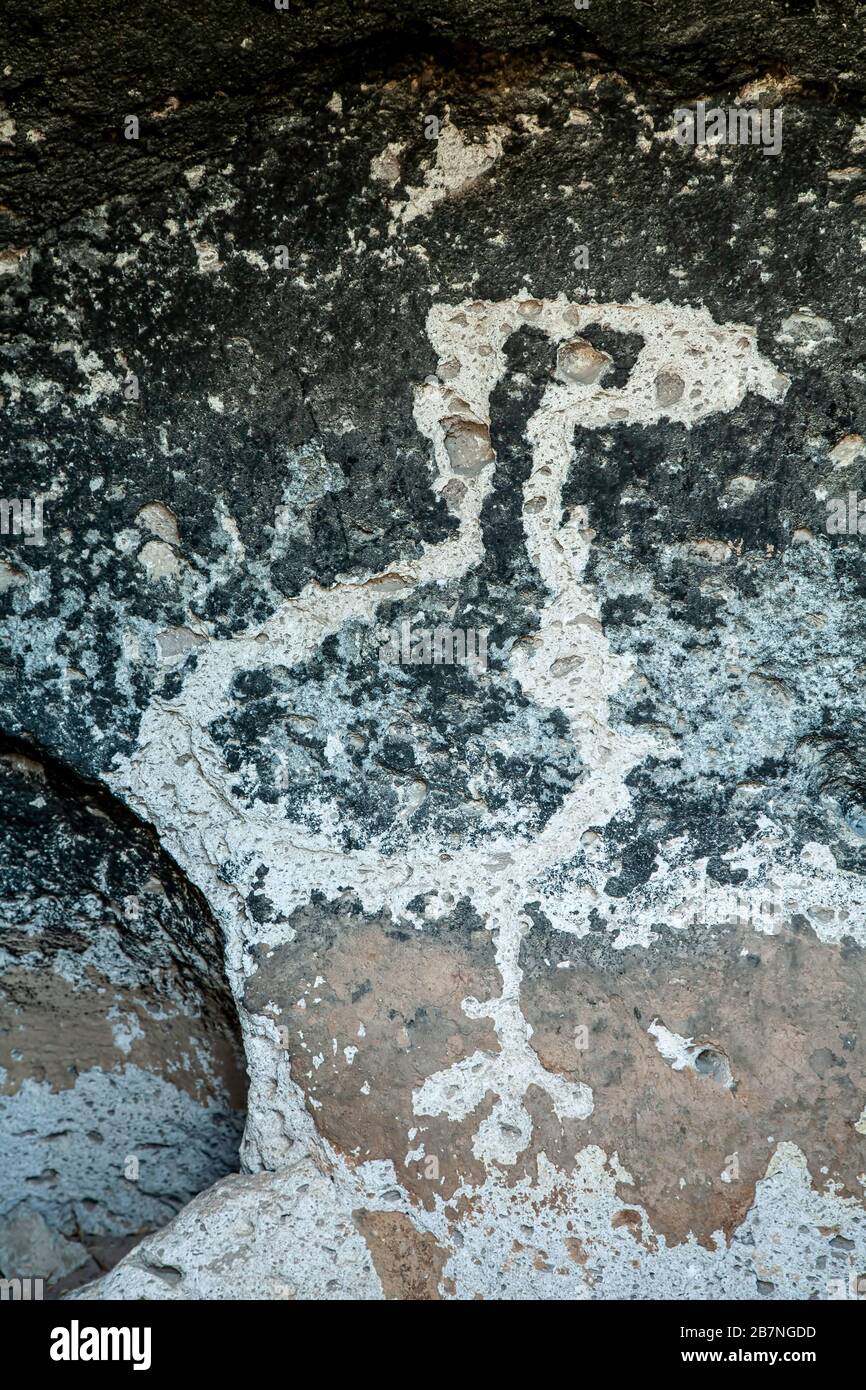 Mexico cave bird hi-res stock photography and images - Alamy
