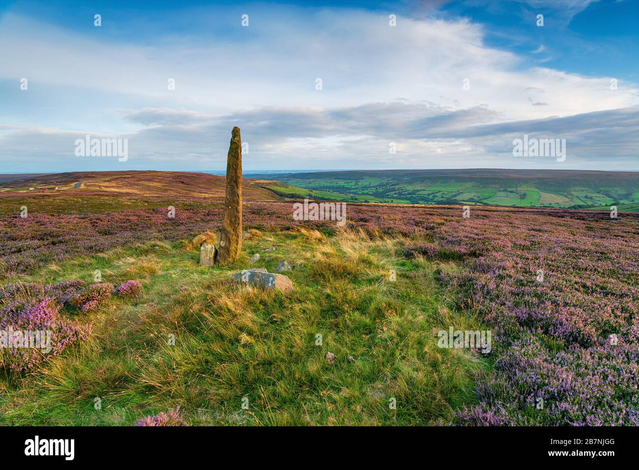An ancient standing stone on Blakey Ridge on the North York Moors ...