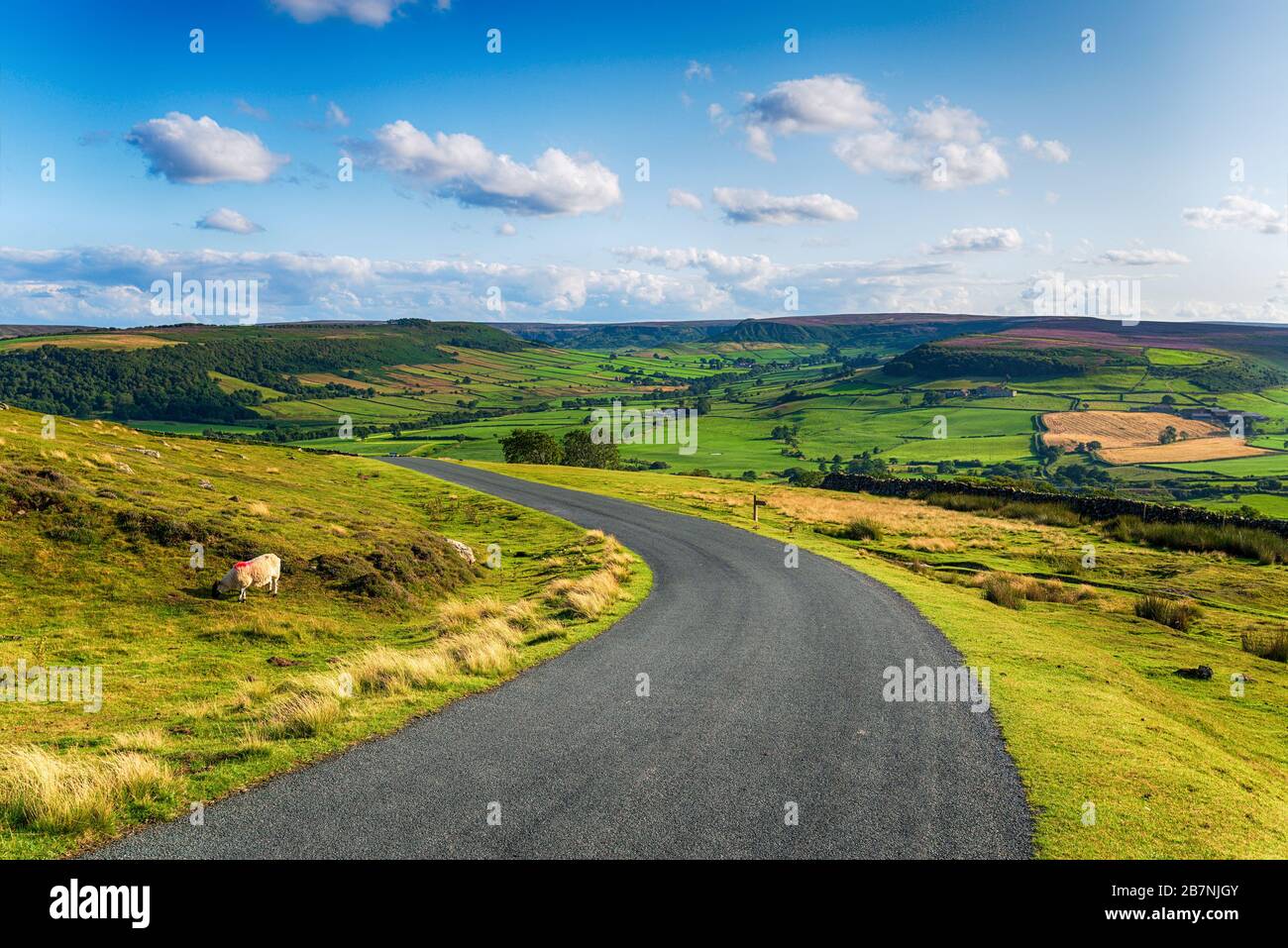 Yorshire moors hi-res stock photography and images - Alamy