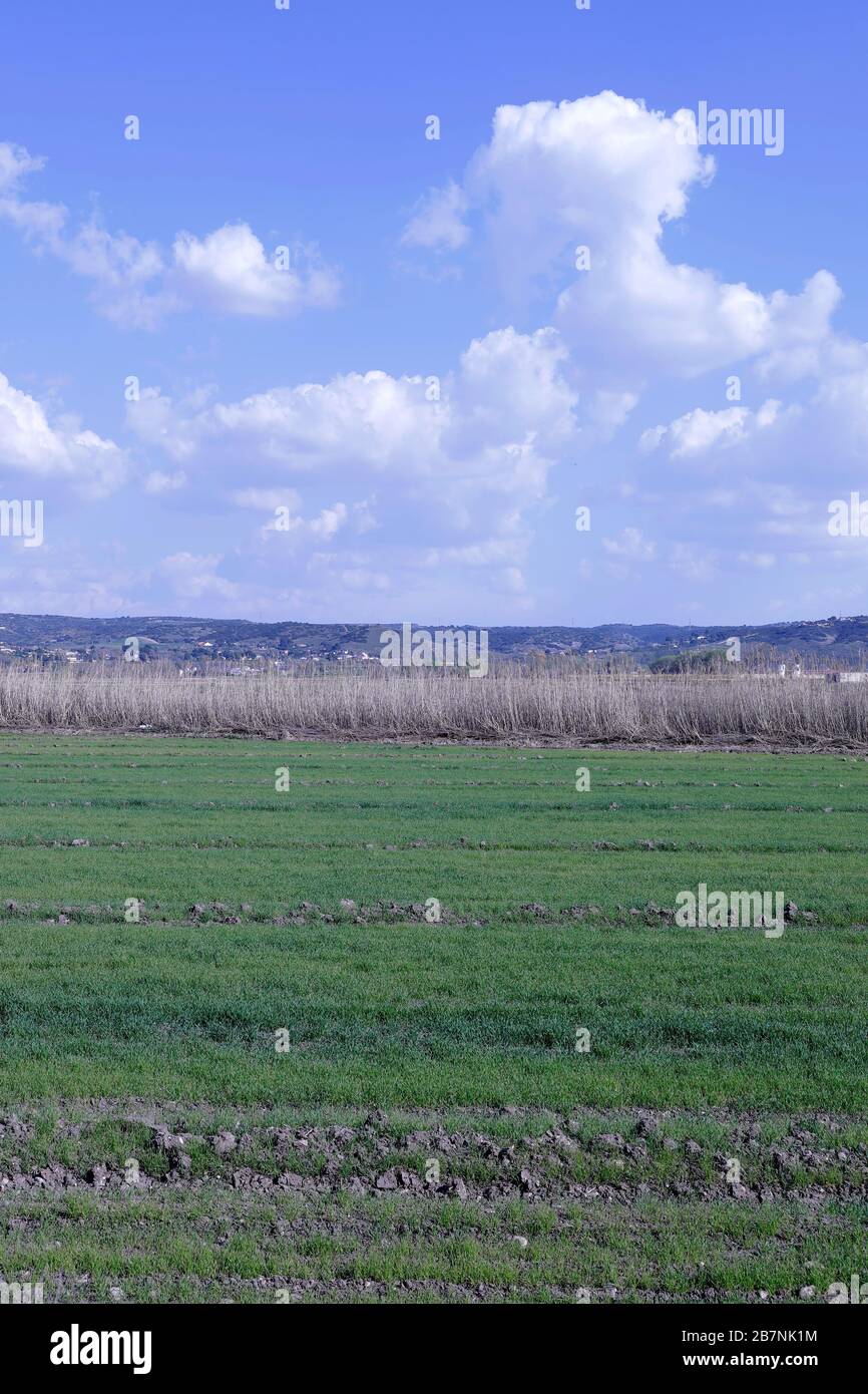 Wide rural landscape near San Martín de la Vega, Madrid, featuring ...