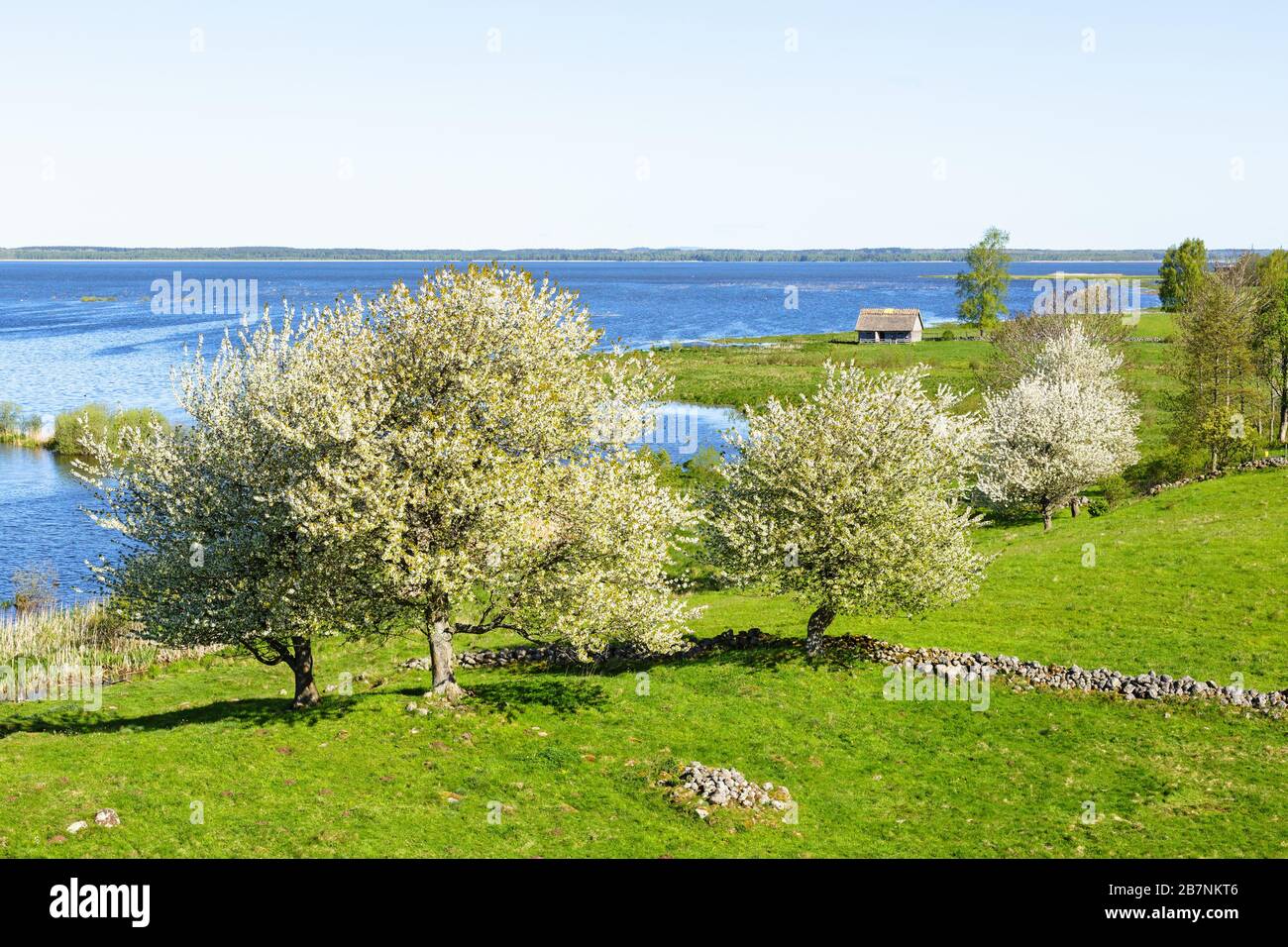 Lake scene flowers cherry hi-res stock photography and images - Alamy