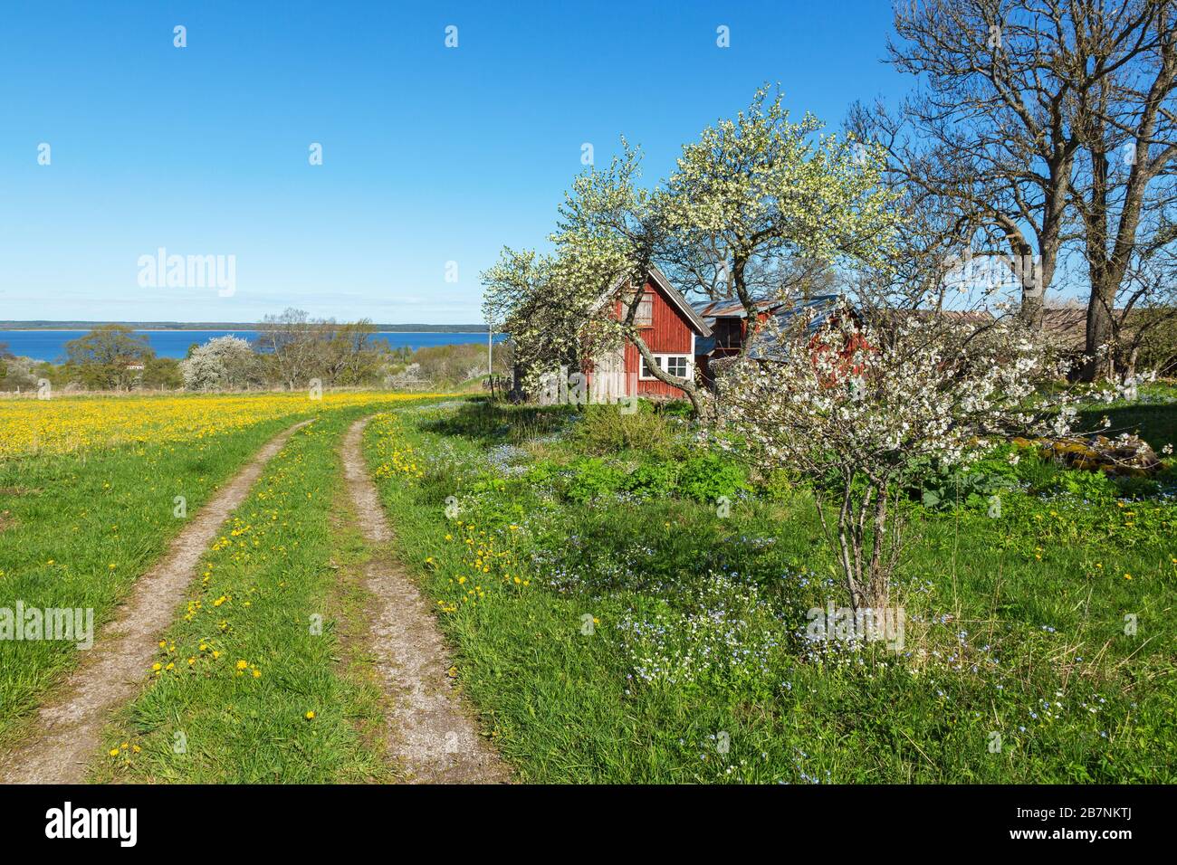 Rural view in the spring at a farm Stock Photo - Alamy