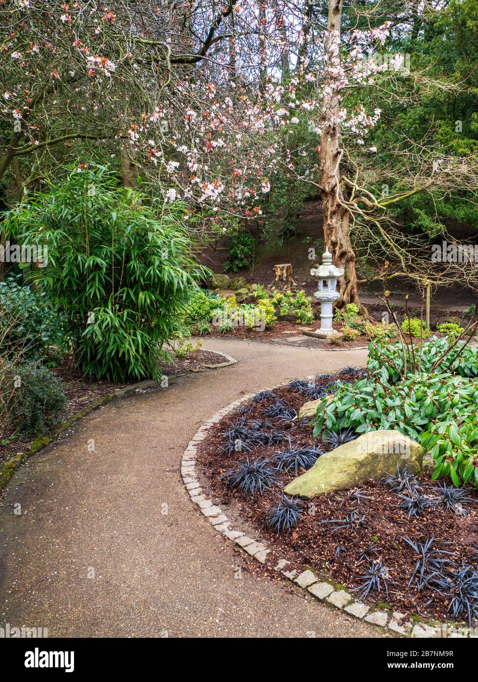 Japanese Garden Layout High Resolution Stock Photography and Images - Alamy