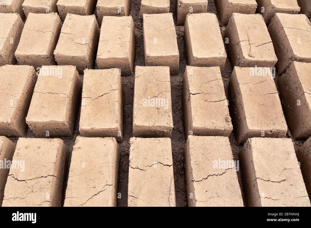 Traditional local asian homemade production of raw clay brick laid out ...
