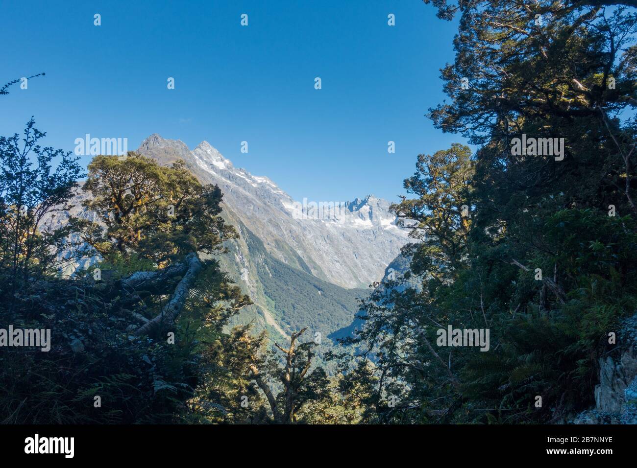 The Routeburn Track is is a classic tramping track in New Zealands ...